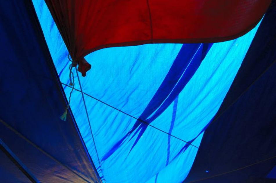 Wild Caught Art - Robert Kasper - Visible White 2013 - Opera Celeste ...